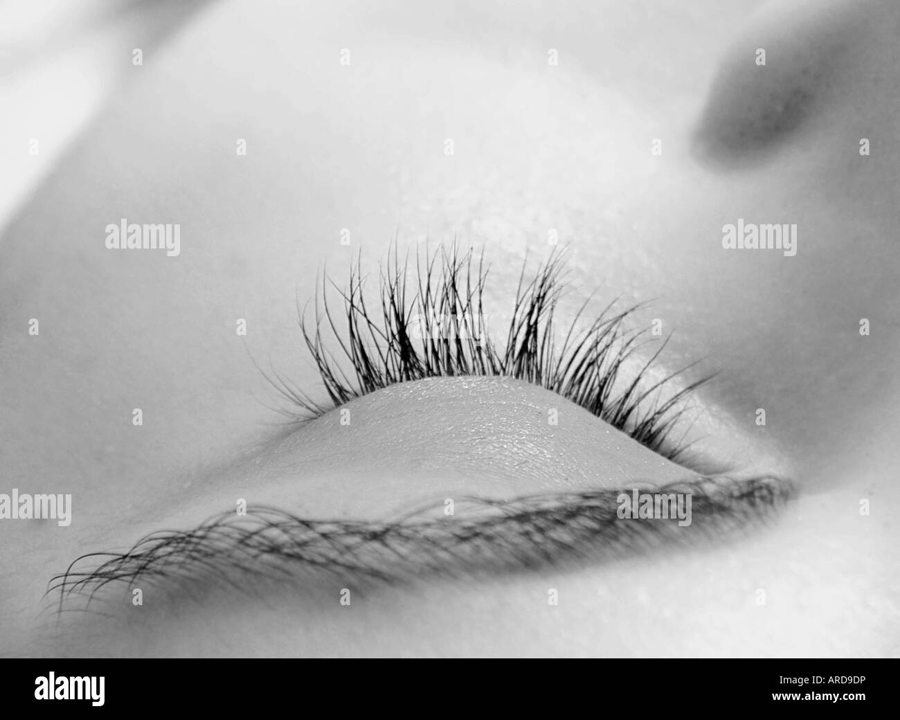 Sleeping human eye Black and White Stock Photos & Images - Alamy