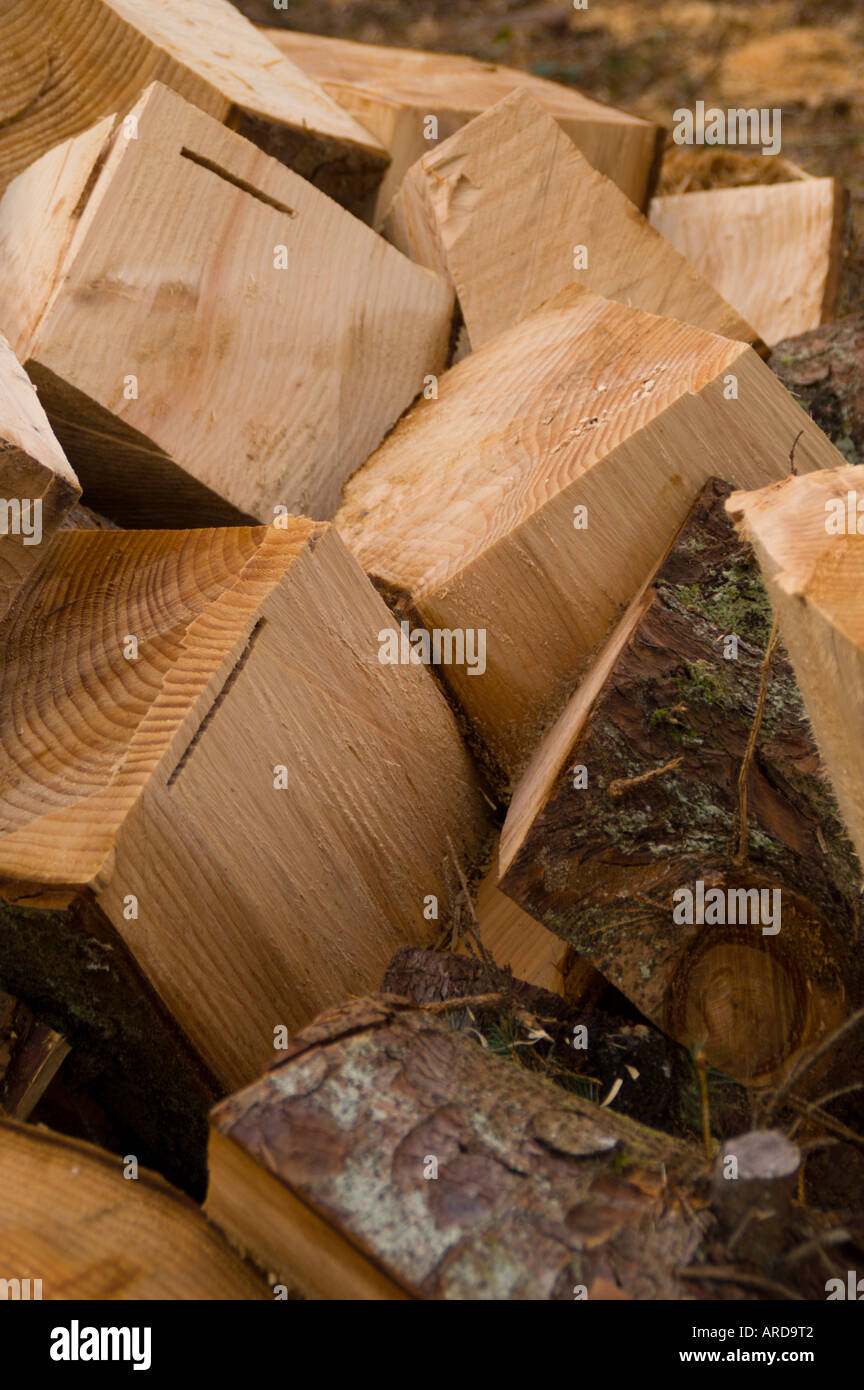 Sawn logs from felled trees in Scotland Stock Photo - Alamy