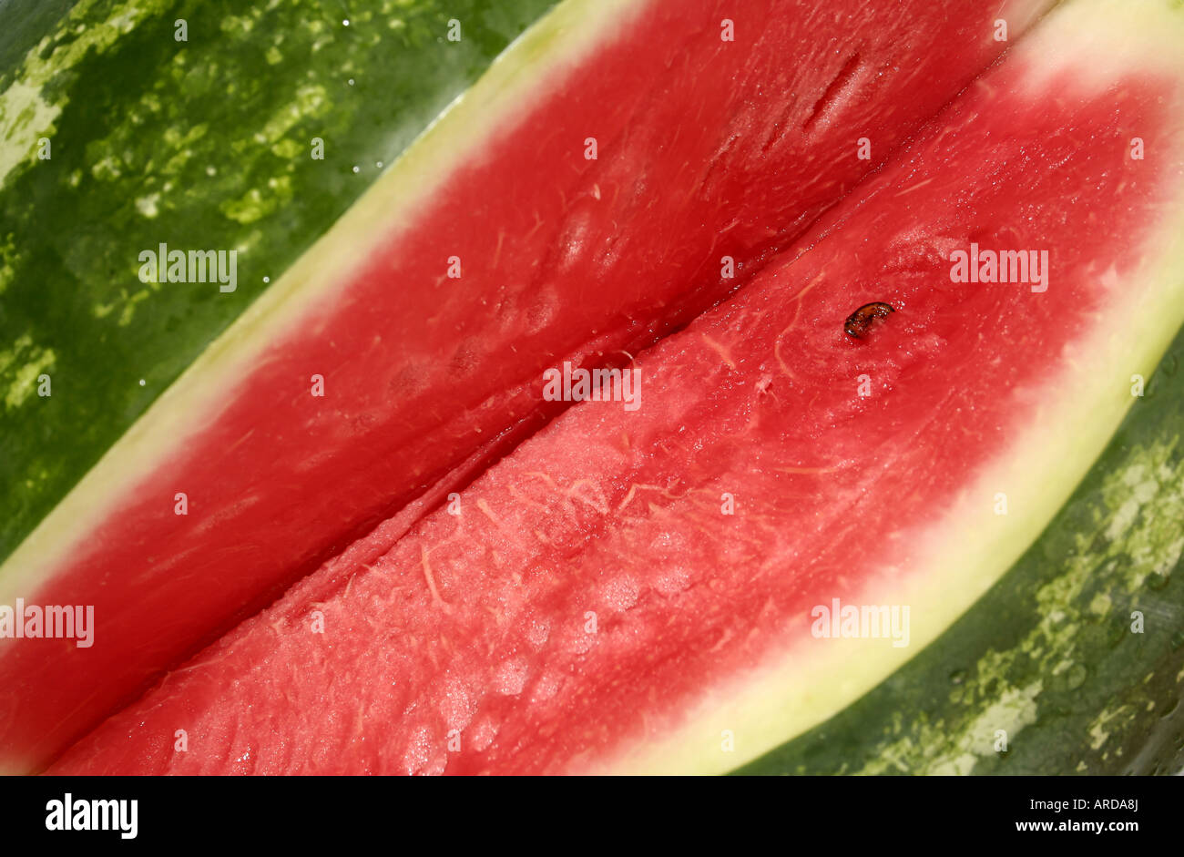 Huge melon hi-res stock photography and images - Alamy