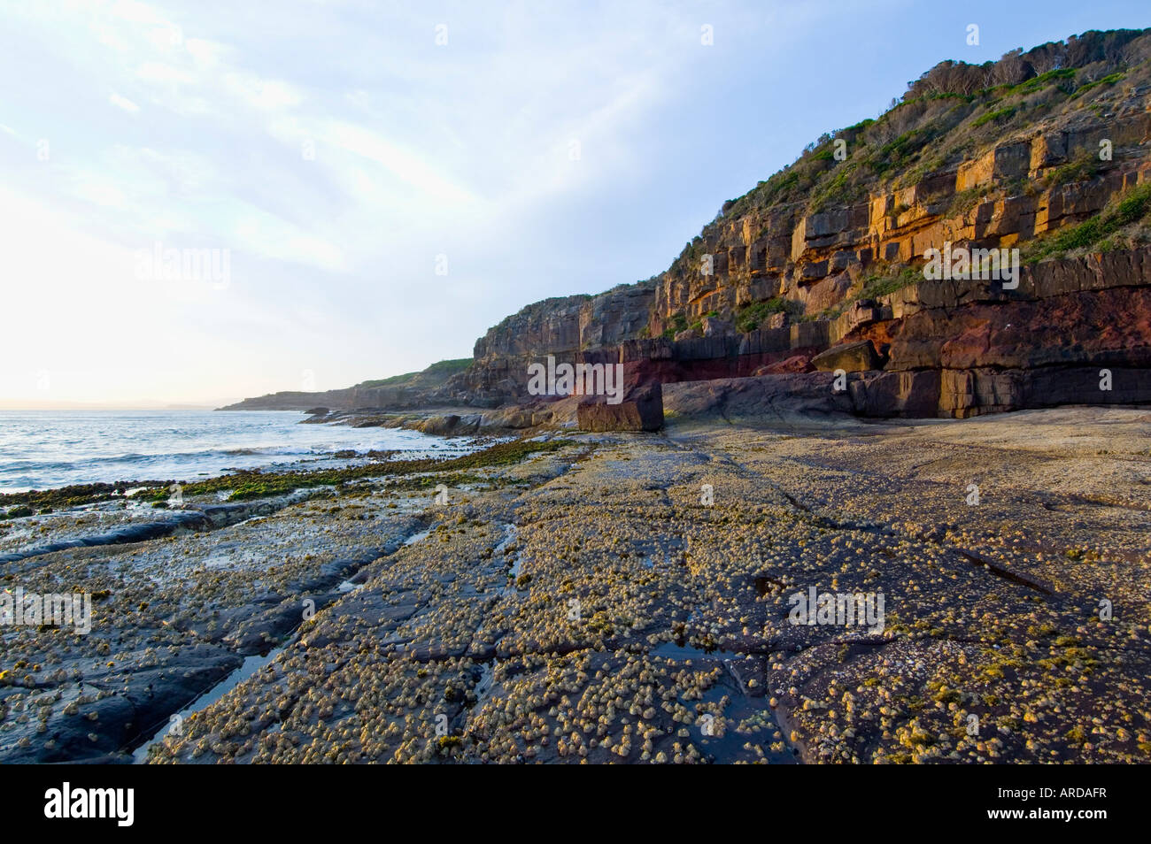 Coastline at sunset Disaster Bay Green Cape Ben Boyd National Park New ...