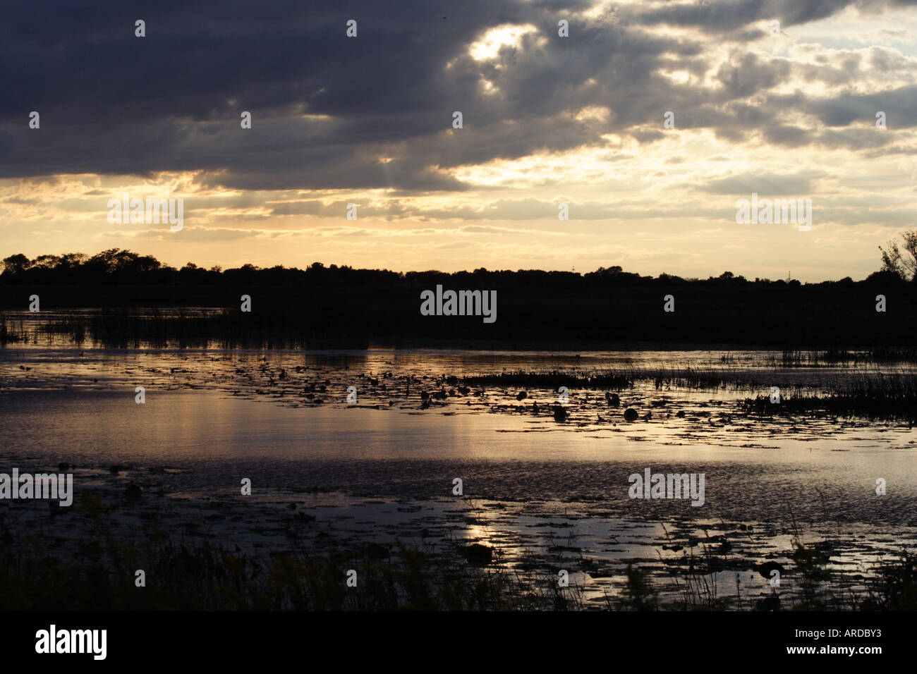 Springbrook lake hi-res stock photography and images - Alamy