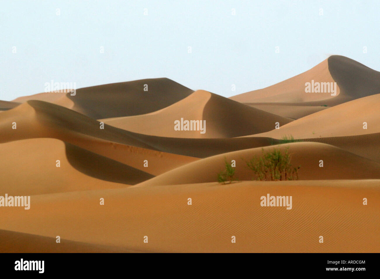 Tengger desert Ningxia China August 2007 Stock Photo - Alamy