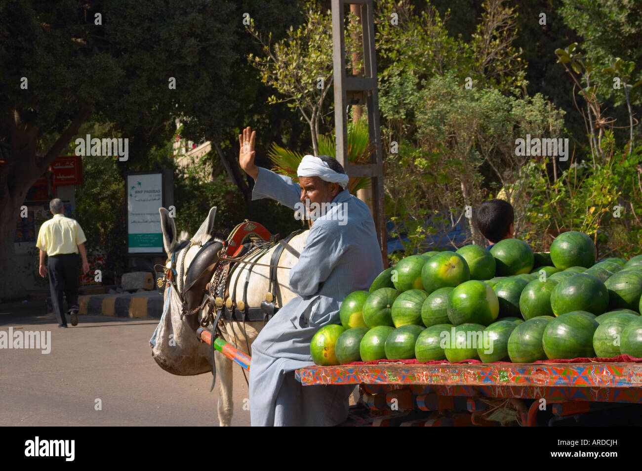 Melon Seller, Egypt Stock Photo - Alamy