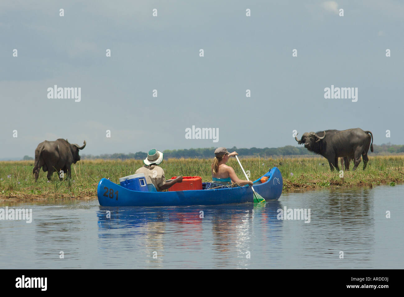 Travel canoe safari canoeing canoes Zambezi river canoeists African ...