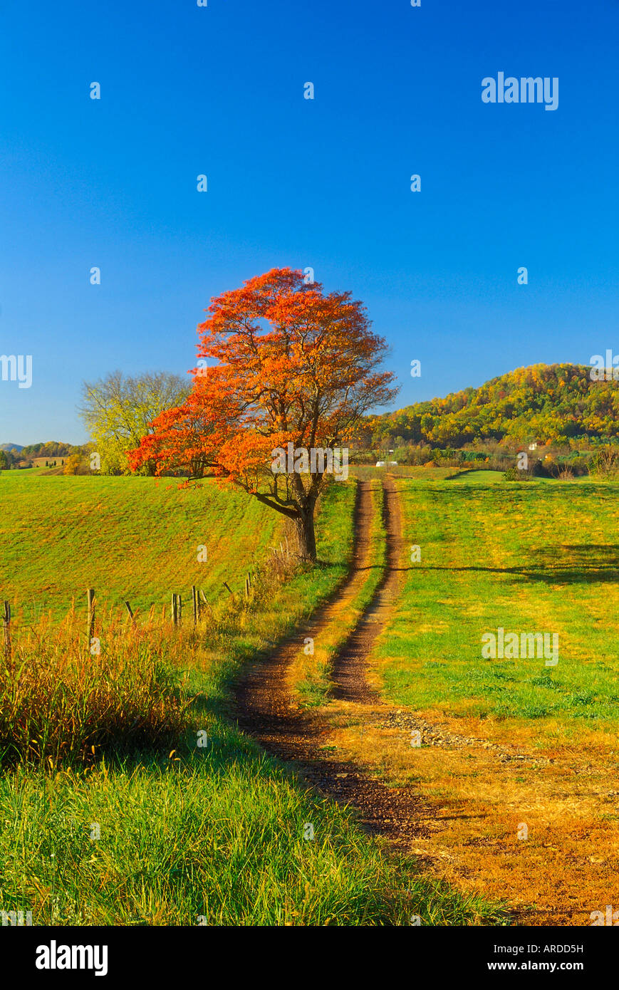 Virginia field hi-res stock photography and images - Alamy