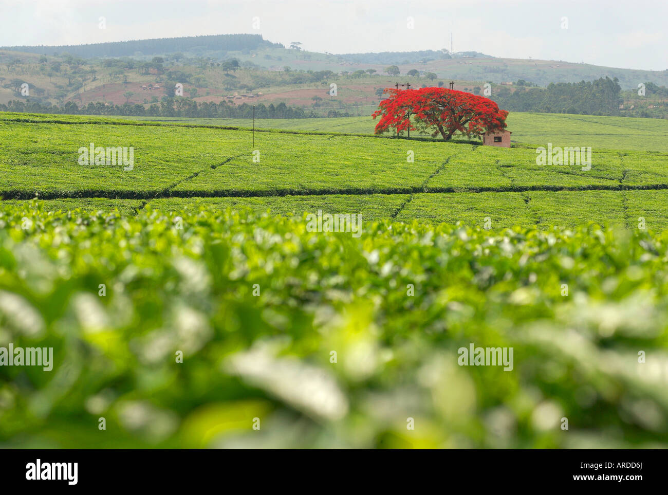 Manpower intensive industry hi-res stock photography and images - Alamy