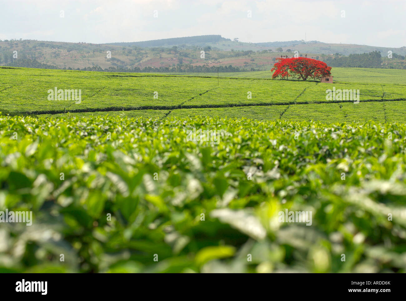 Manpower intensive industry hi-res stock photography and images - Alamy