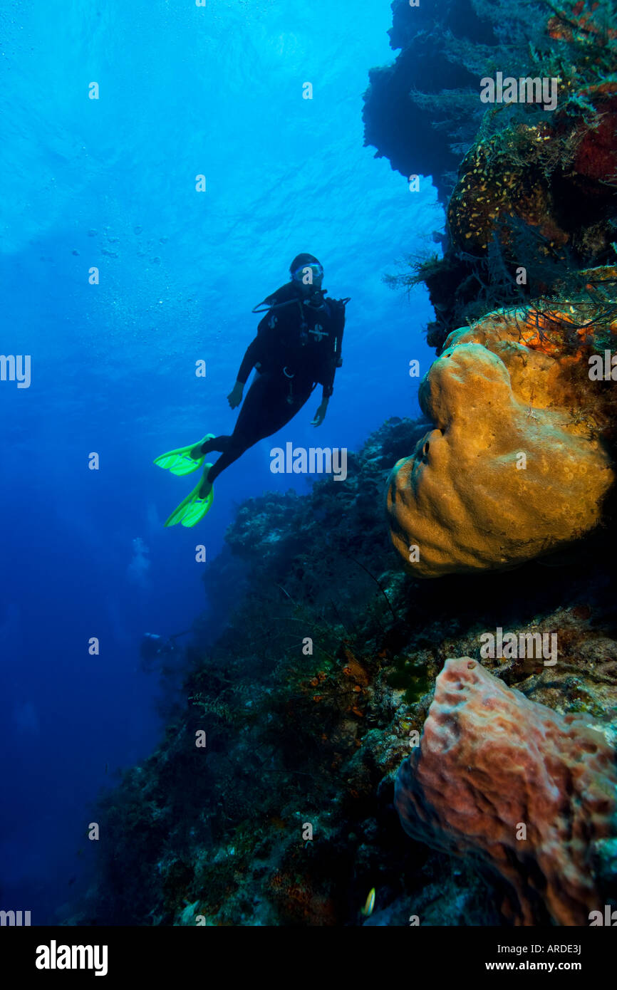Woman diver at Santa Rosa Wall divesite Cozumel Mexico Stock Photo - Alamy