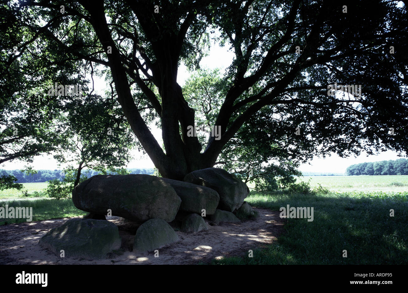 Borger drenthe hi-res stock photography and images - Alamy