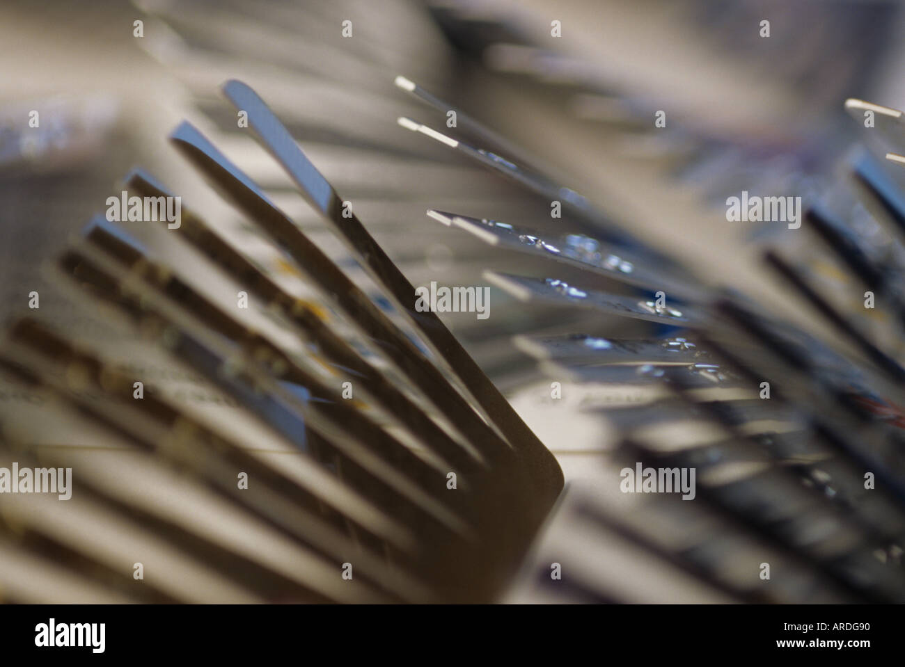 Partially shredded credit cards with numbers still showing identity ...