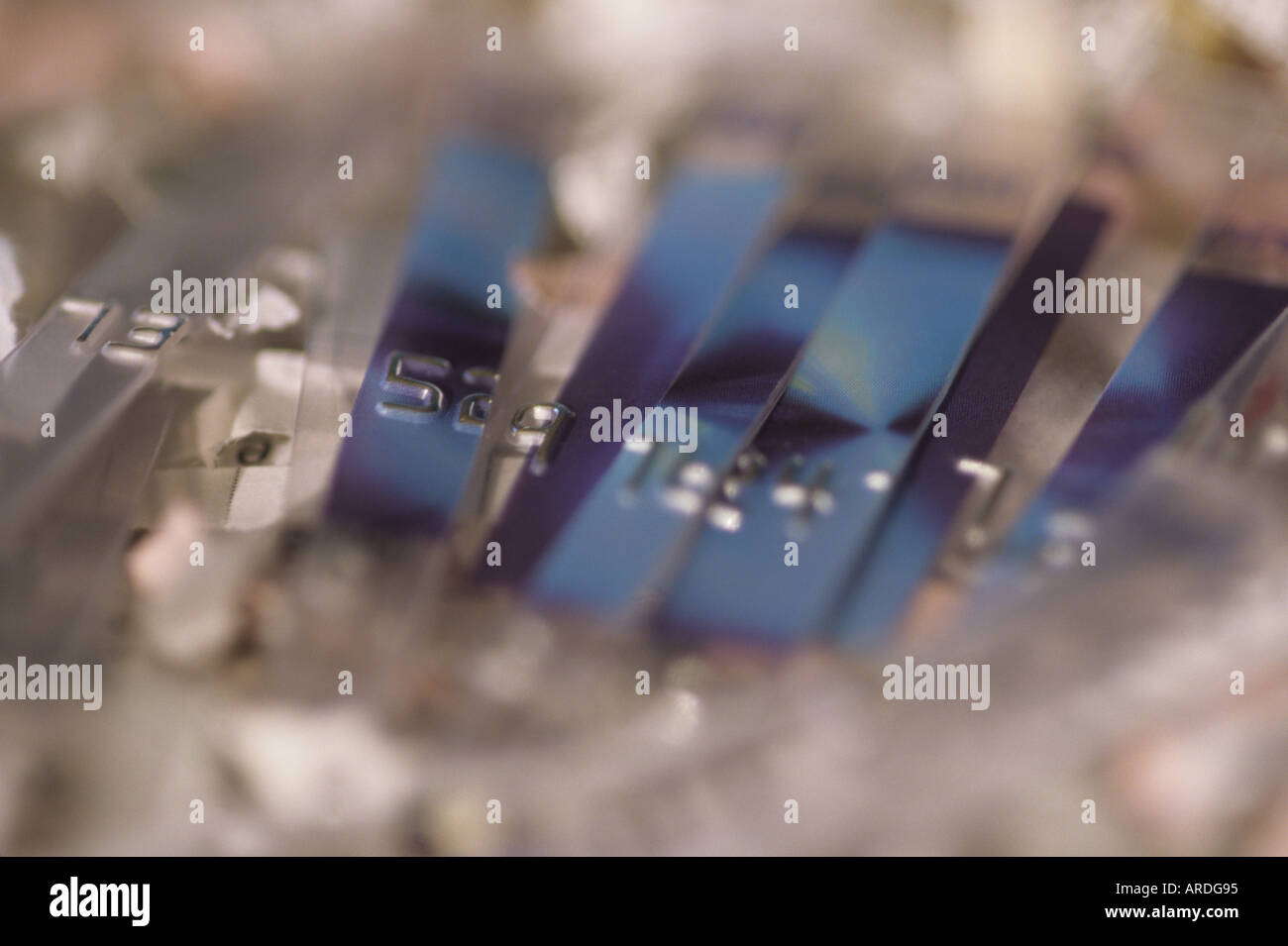 Partially shredded credit cards with numbers still showing identity ...