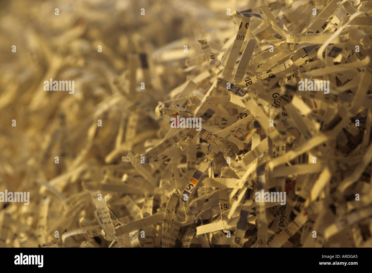 Shredded personal information coming out of a shredder indentity theft ...