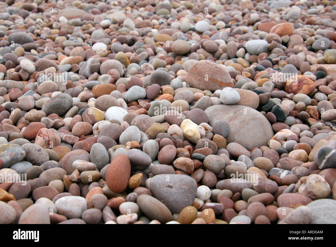 pebbles on a beach Budleigh Salterton, Devon Stock Photo - Alamy