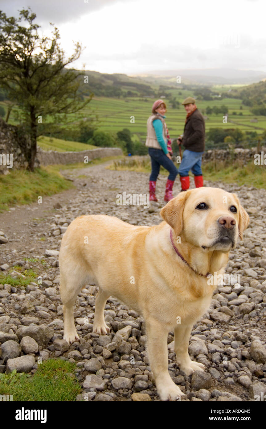 Golden unit hi-res stock photography and images - Alamy