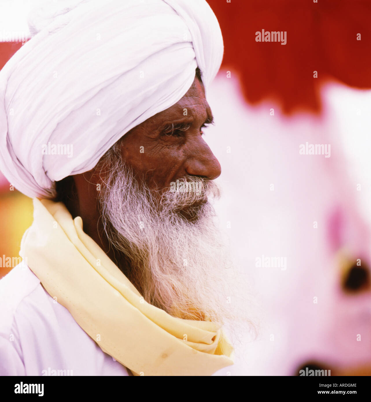 Sikh gentleman hi-res stock photography and images - Alamy