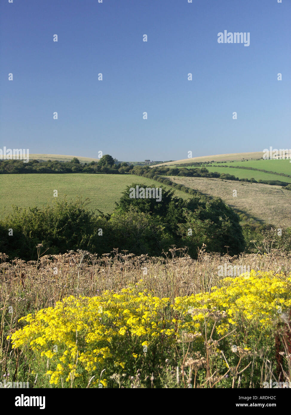 The South Downs at Patcham North of Brighton East Sussex Stock Photo ...