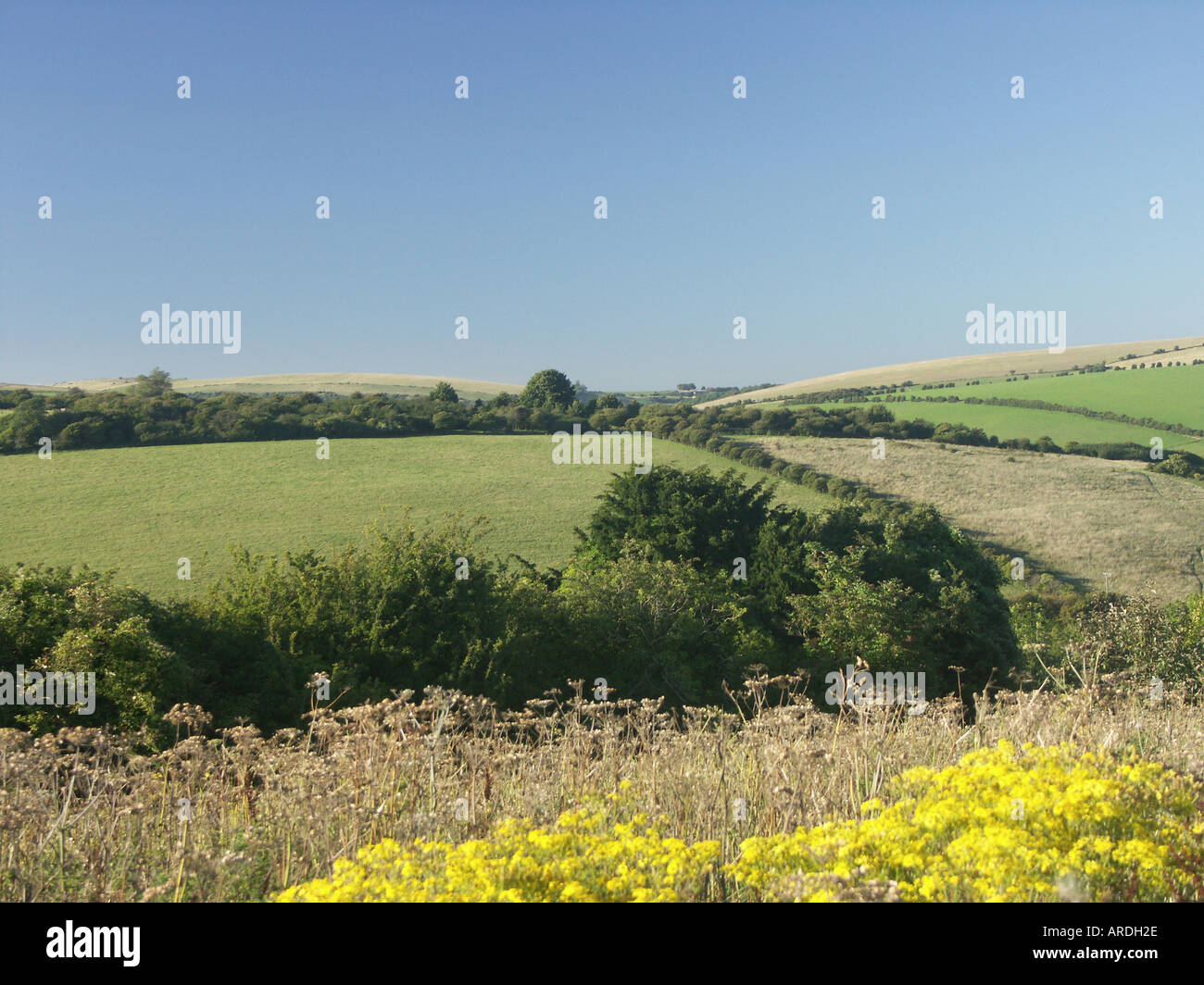 The South Downs at Patcham North of Brighton East Sussex Stock Photo ...