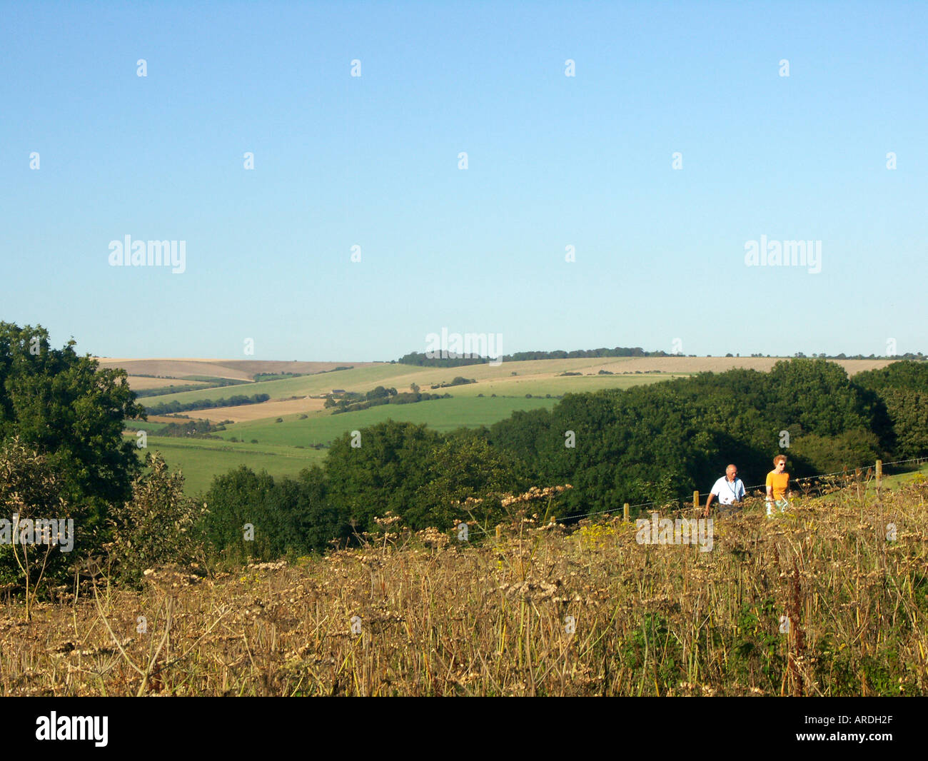 The South Downs at Patcham North of Brighton East Sussex Stock Photo ...