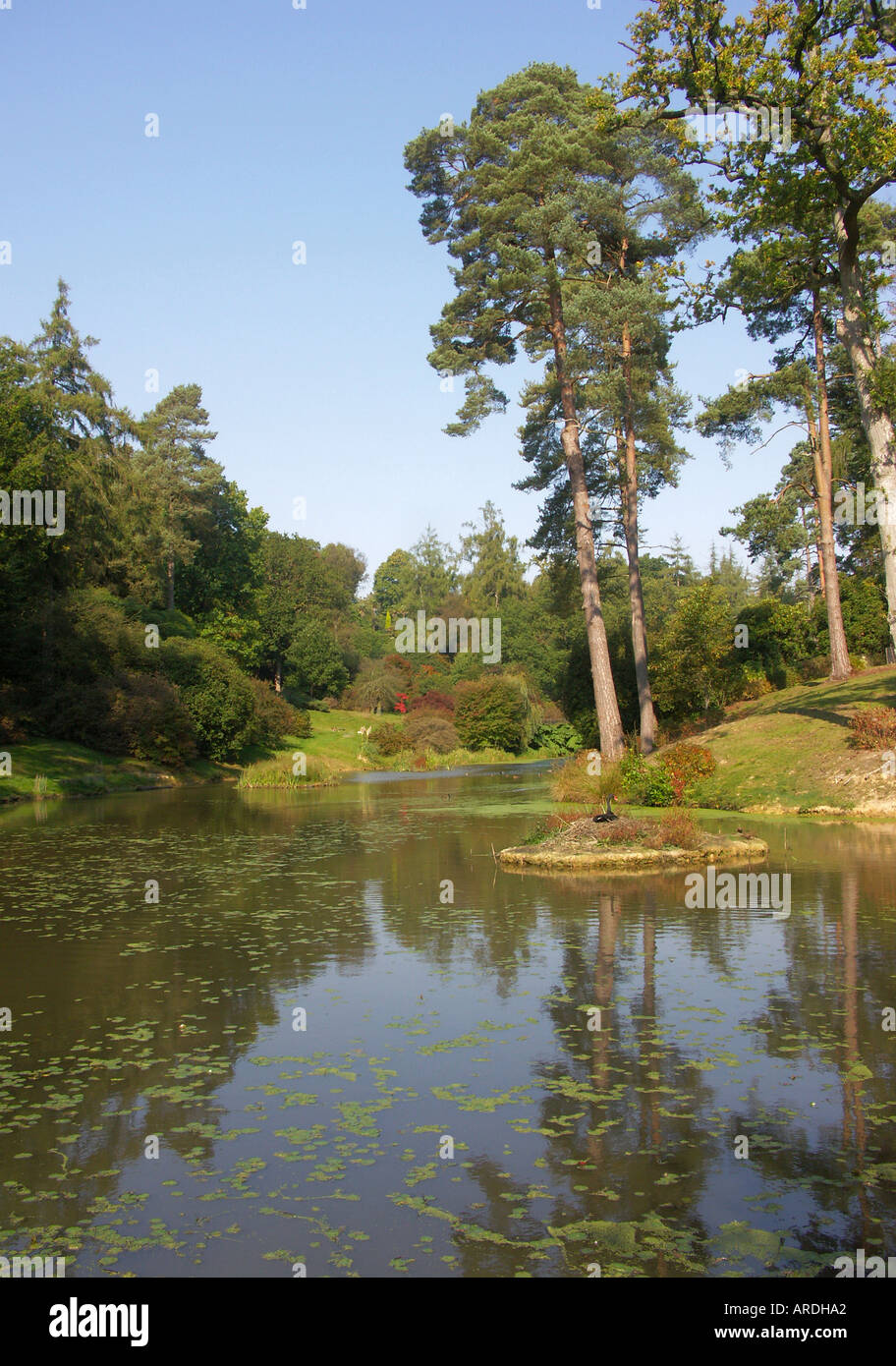 Leonardslee Lakes and Gardens Lower Beeding Nr Horsham West Sussex ...