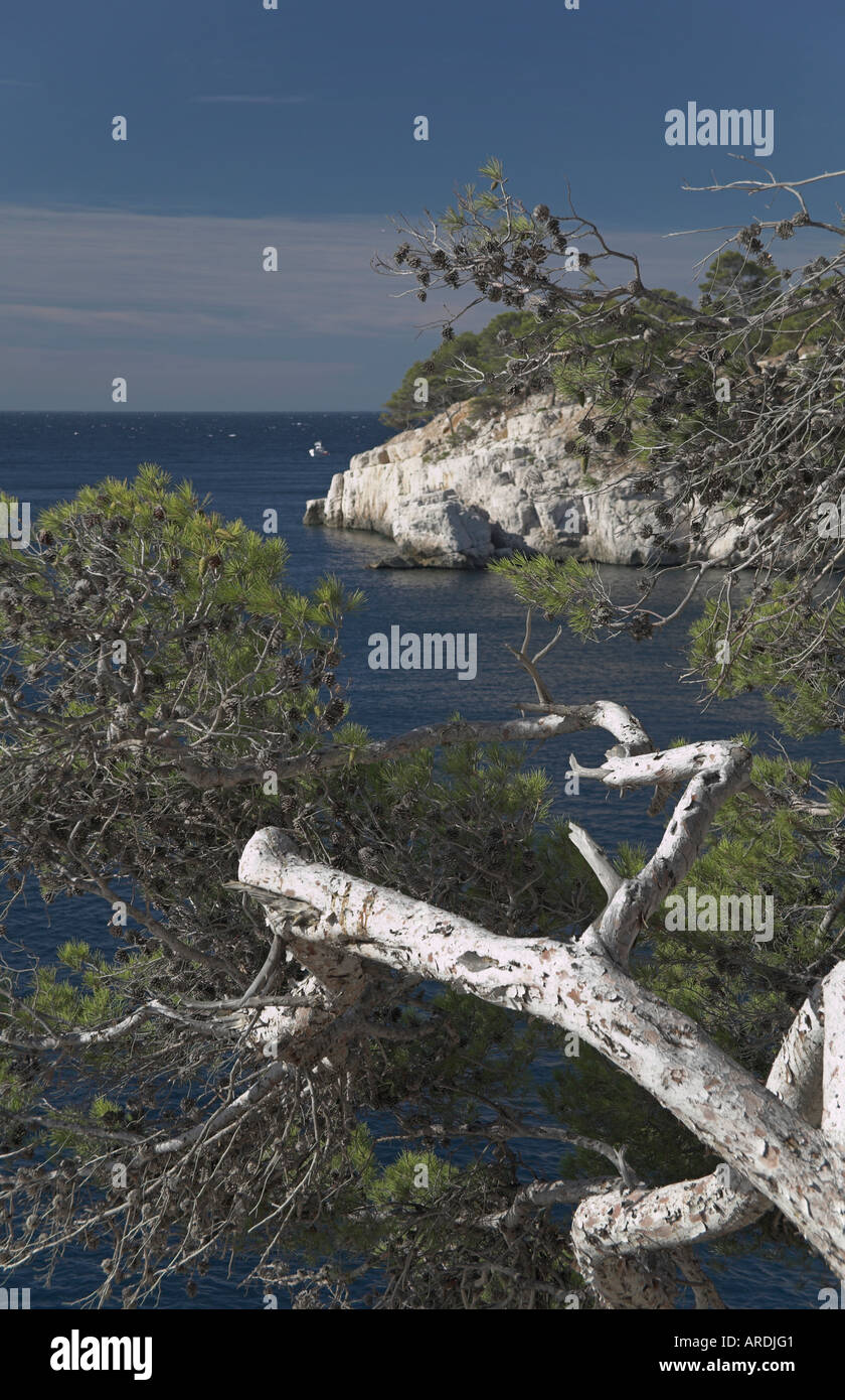 Port Pins Calanque Provence Cassis Marseille South of France Stock ...