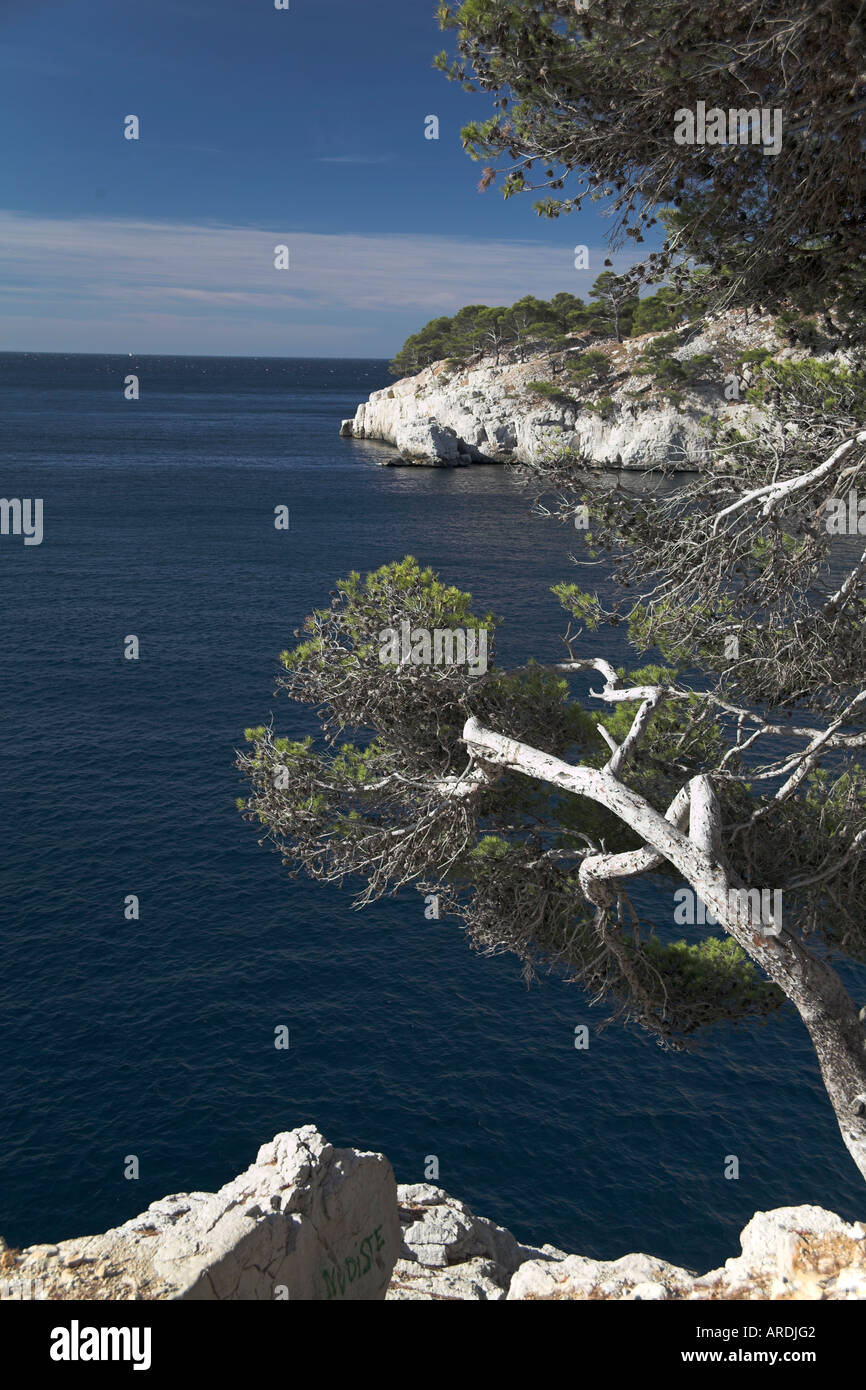 Port Pins Calanque Provence Cassis Marseille South of France Stock ...