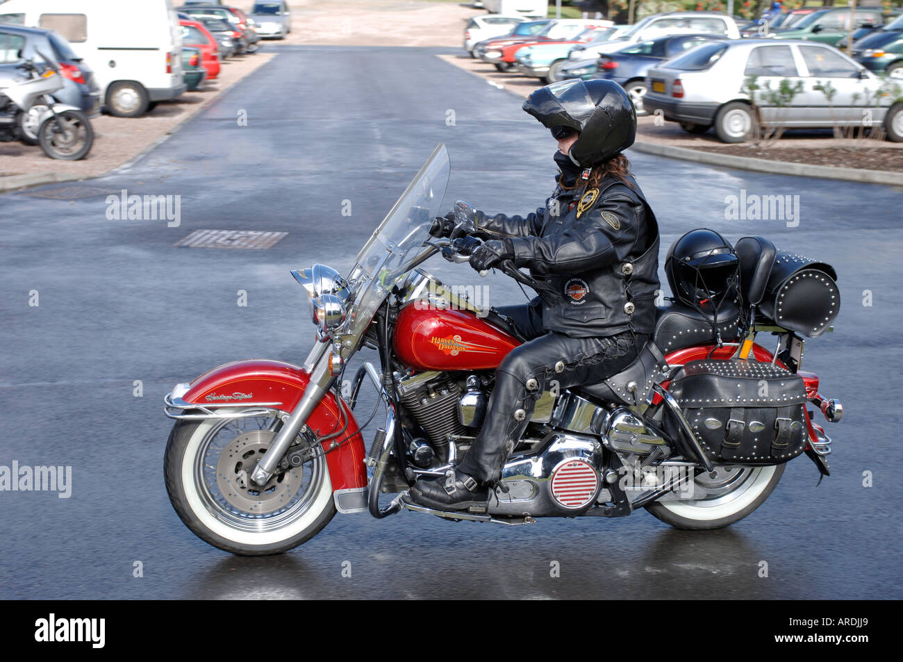 Harley Davidson Motorcycle. XTR 3705-356 Stock Photo - Alamy
