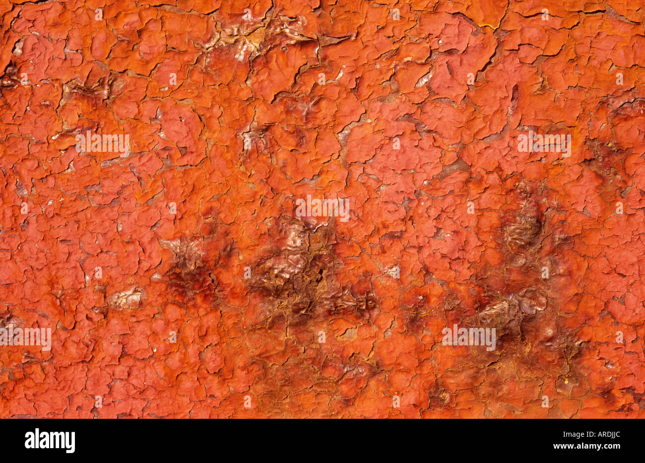 Detail of an area of cracked and split red paint with pits and bulges ...