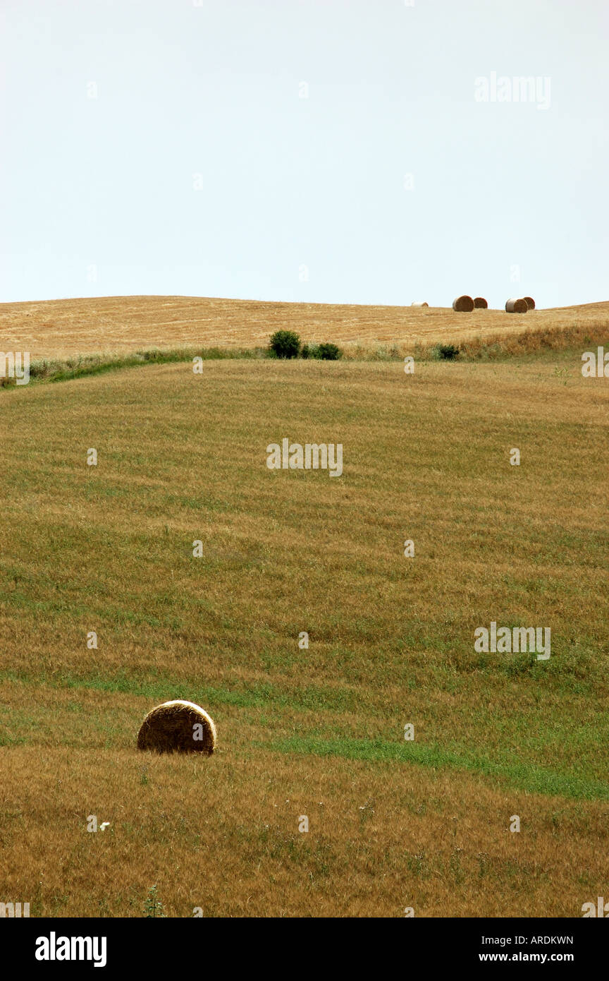 Corn fields and Bails Stock Photo - Alamy