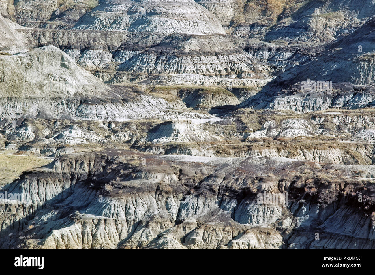Geological strata are displayed in Horseshoe Canyon near Drumheller ...