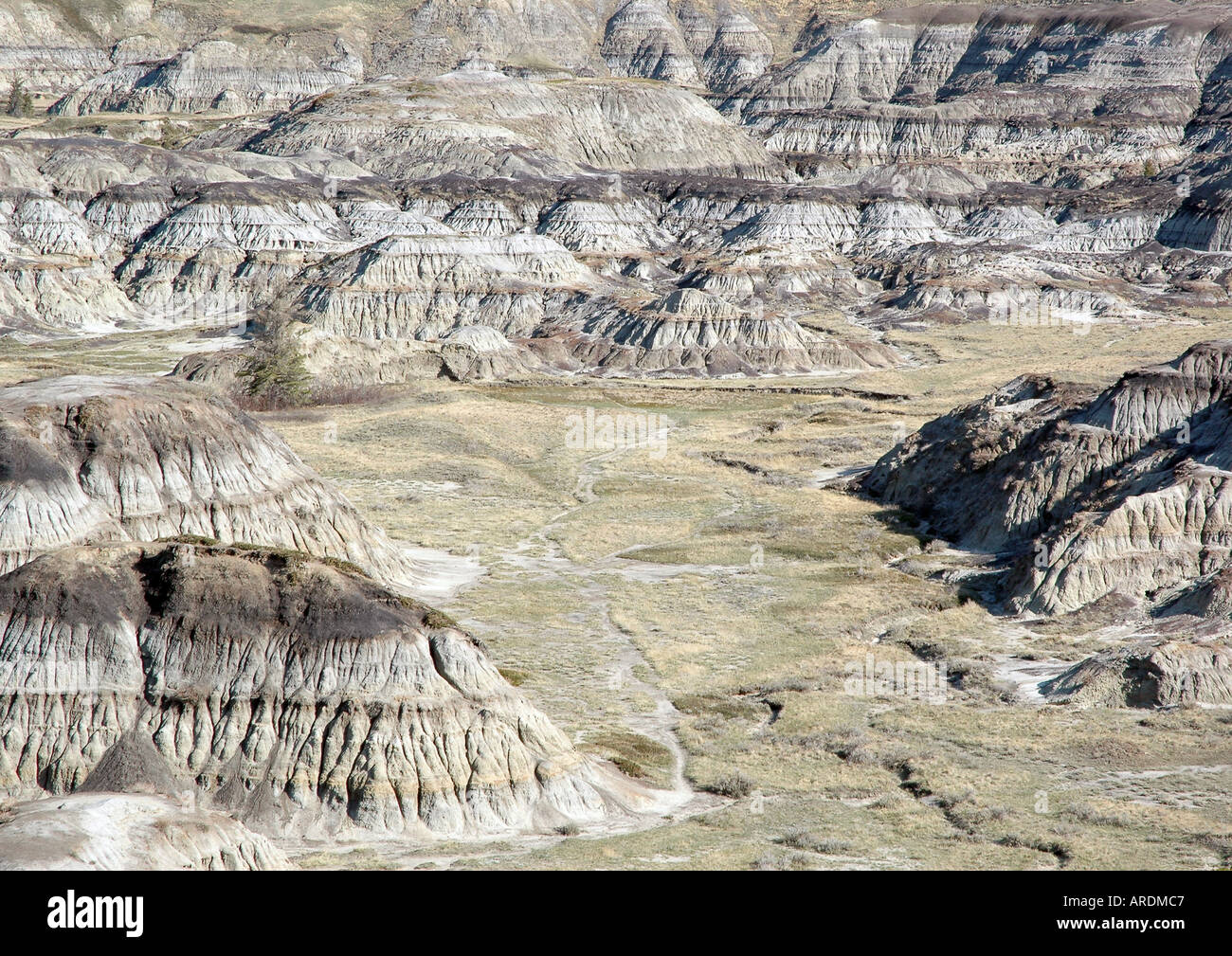 Geological strata are displayed in Horseshoe Canyon near Drumheller ...