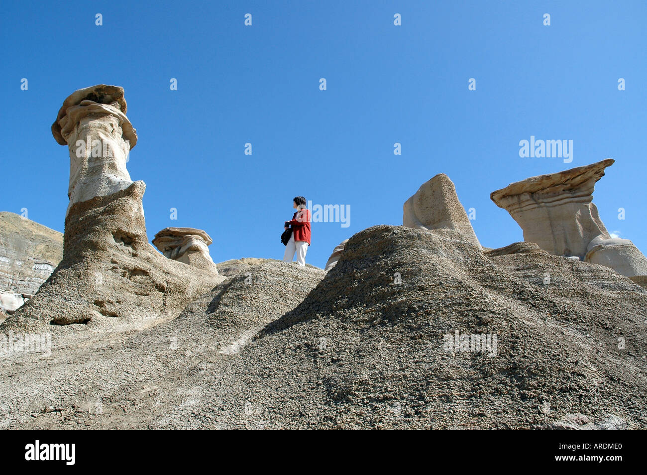 Unusual rock formations called hoodoos stand east of Drumheller Alberta ...