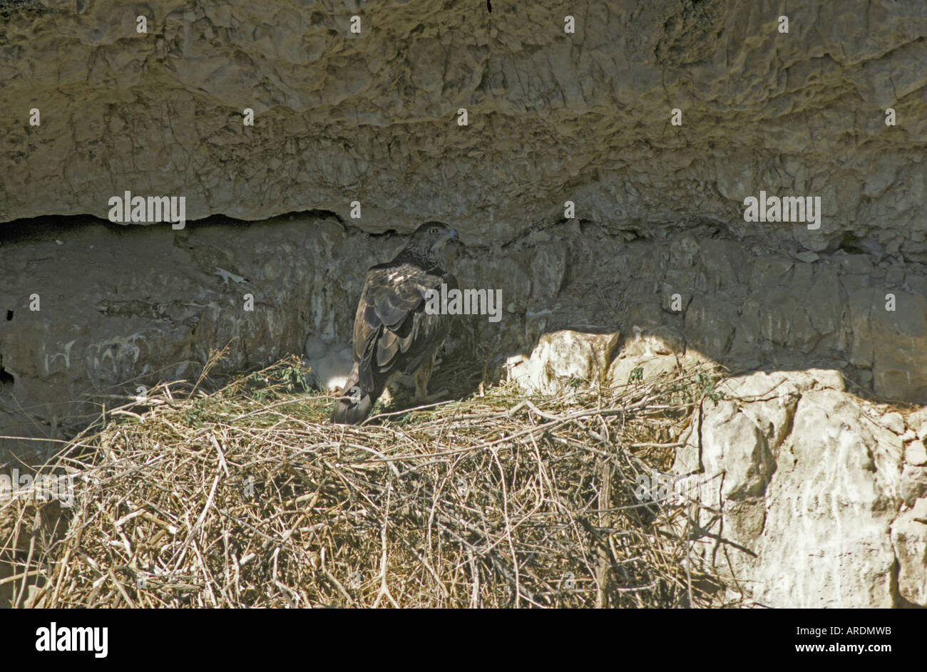 Eagles eyrie hi-res stock photography and images - Alamy