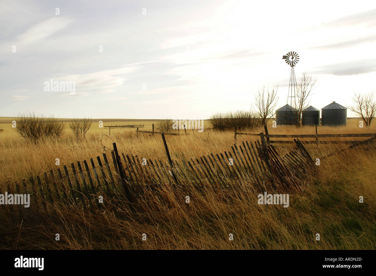 An old windmill towers over an abandoned farm in Southern Alberta Stock ...