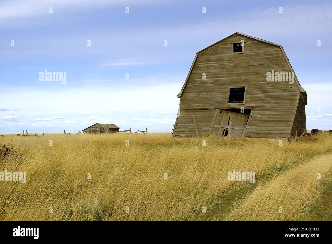 An abandoned barn leans precariously near collapse in Southern Alberta ...