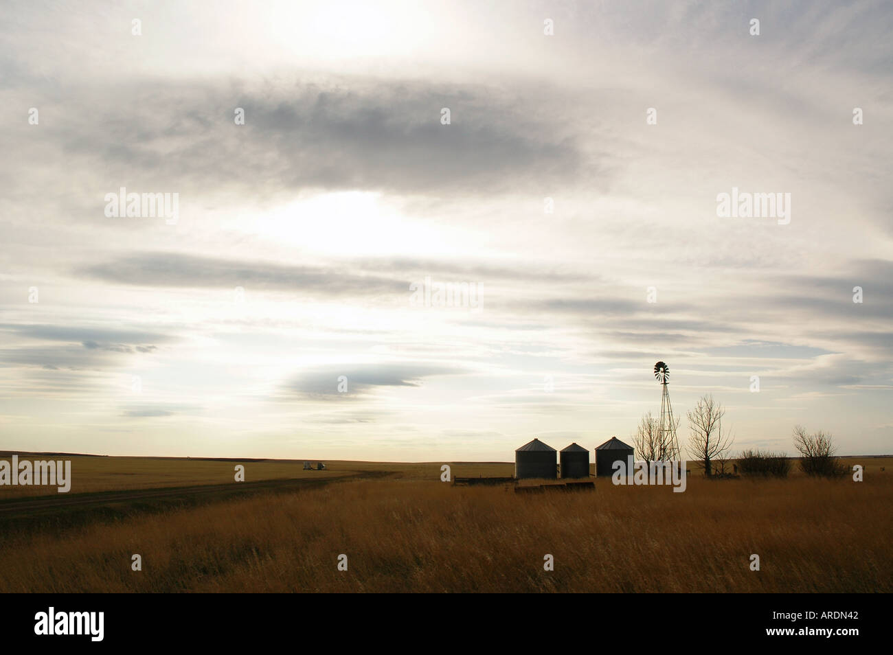 An old windmill towers over an abandoned farm in Southern Alberta Stock ...