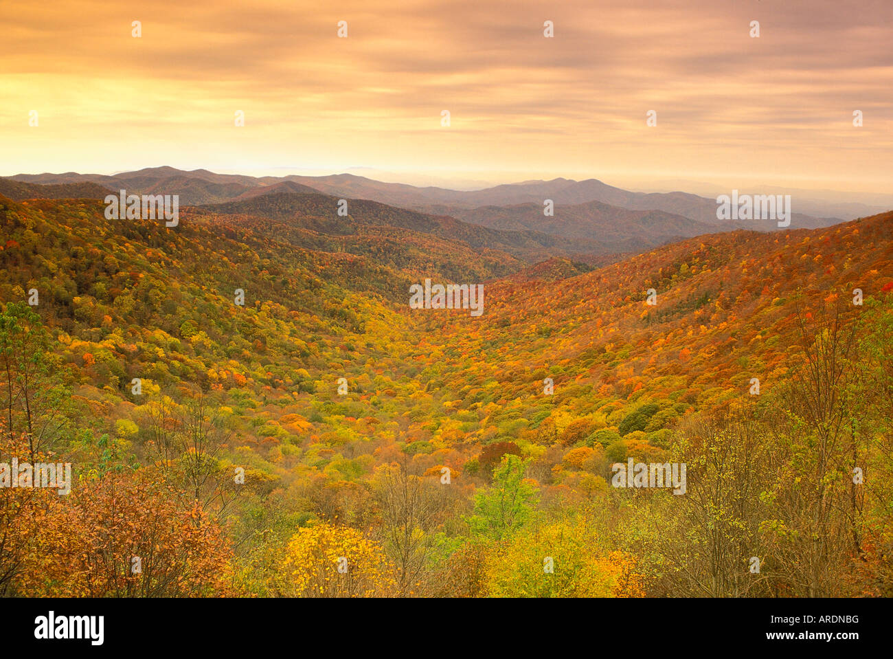 Madisonville tennessee hi-res stock photography and images - Alamy