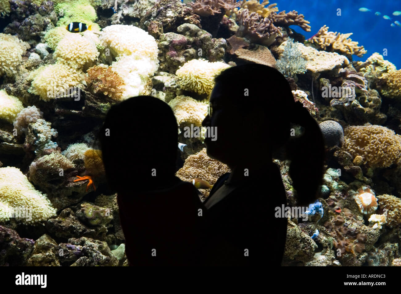 Mother daughter photo shoot hi-res stock photography and images - Alamy