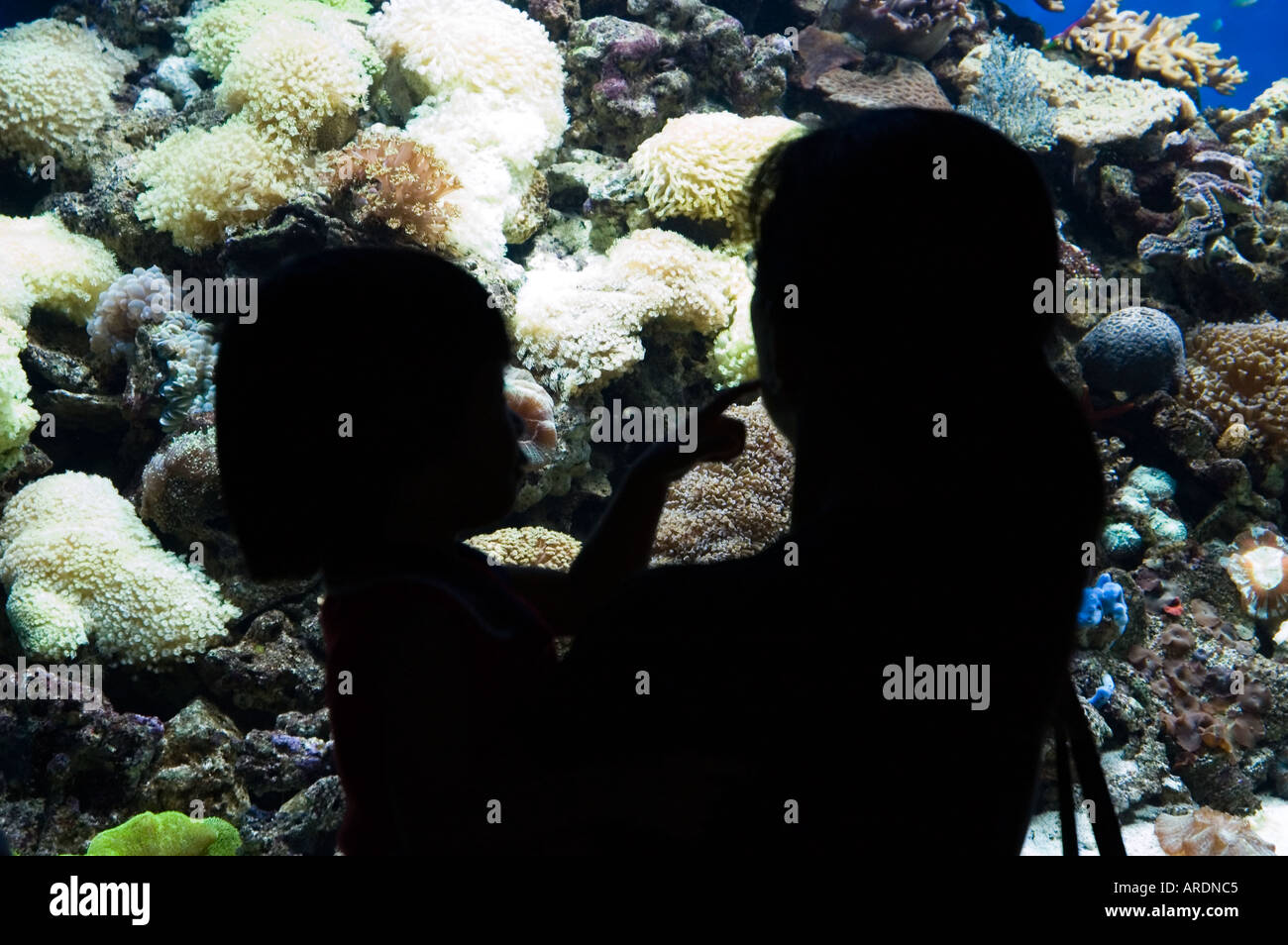 Mother daughter photo shoot hi-res stock photography and images - Alamy