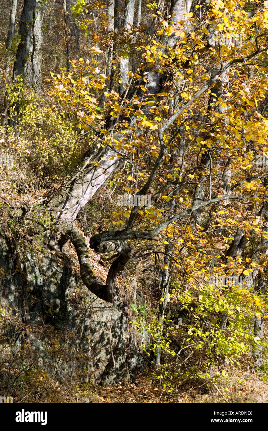 Appalachian mountains rock strata hi-res stock photography and images ...