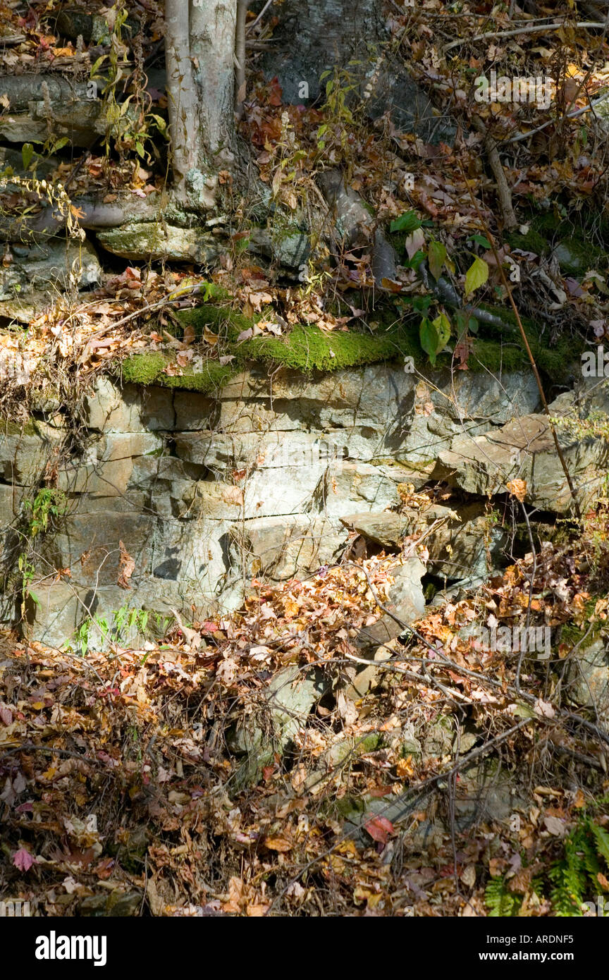 Blue ridge rock formations, strata, layers, granite, geology, fall ...
