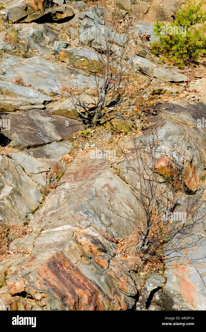 mountain rock, boulder, strata, color, geology, granite, veins, NC, USA ...