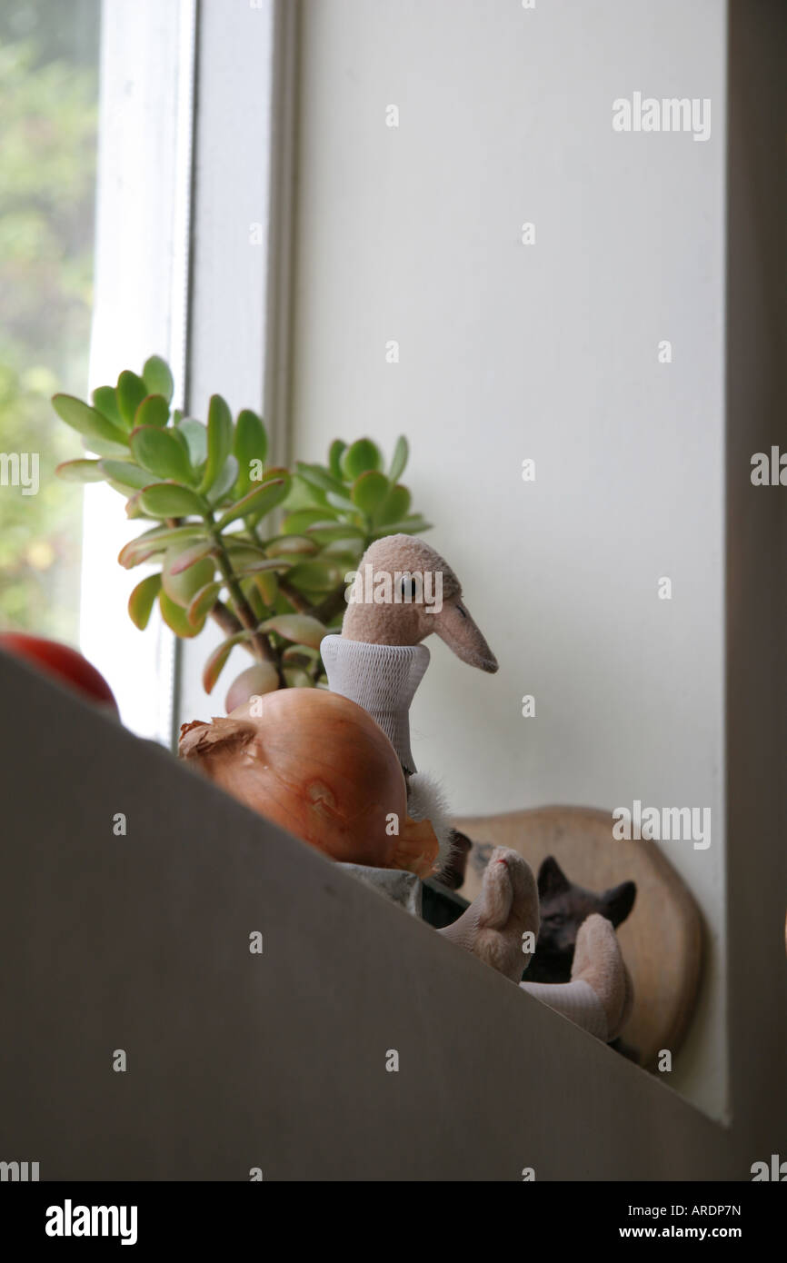 Ostrich toy sitting on window ledge Stock Photo - Alamy