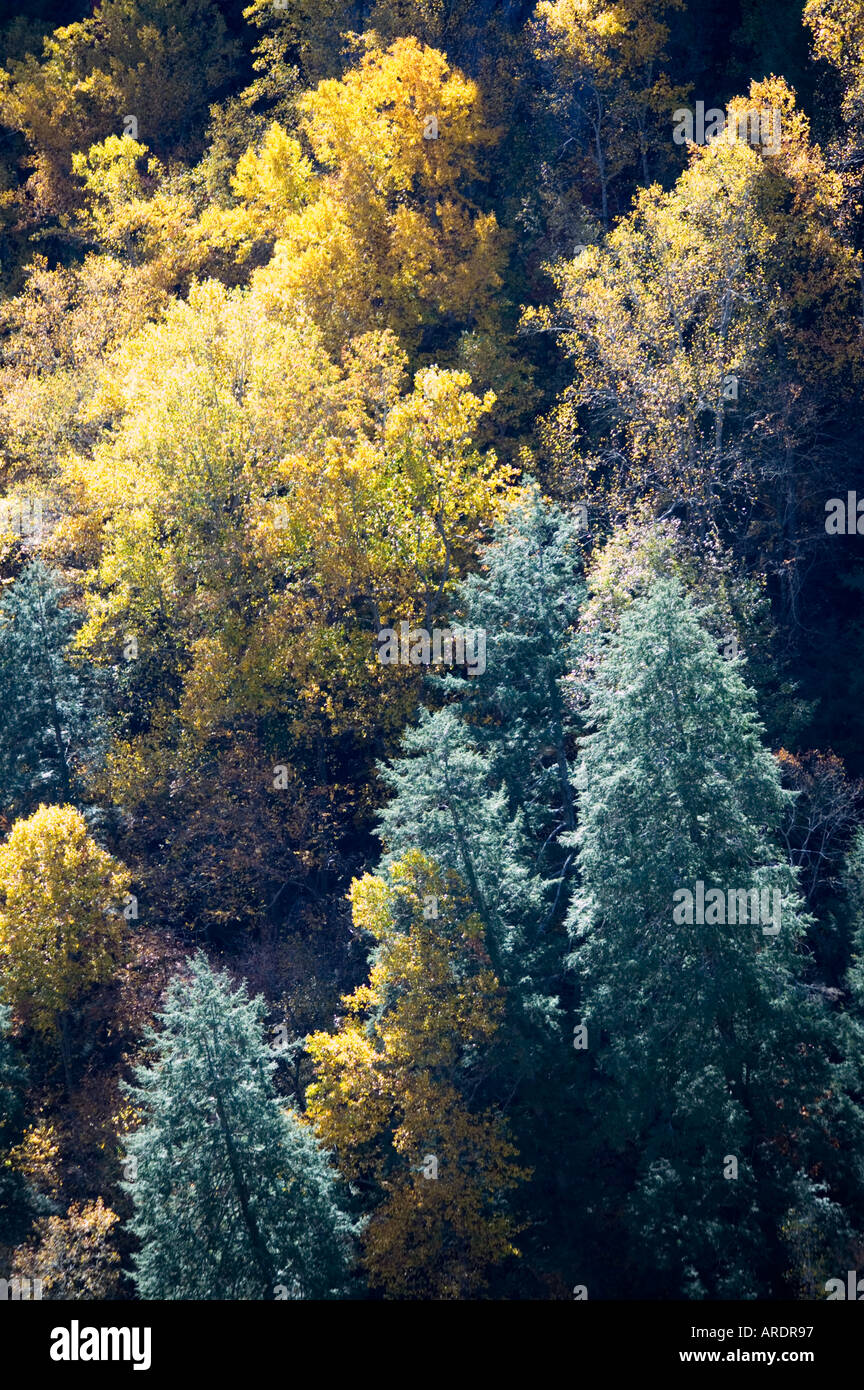 Rabun gap georgia hi-res stock photography and images - Alamy