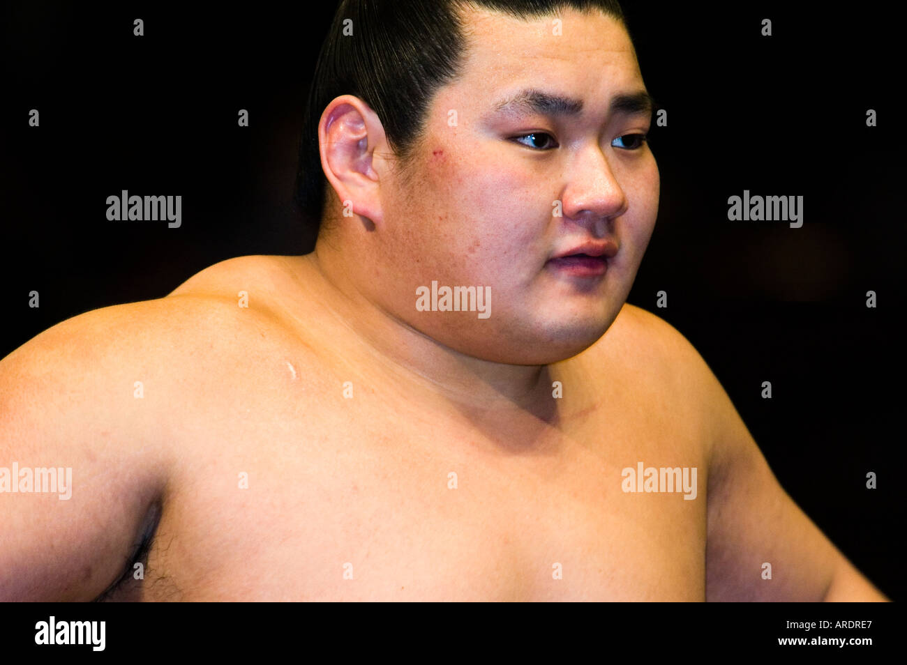 Referee judge sumo wrestling hi-res stock photography and images - Alamy