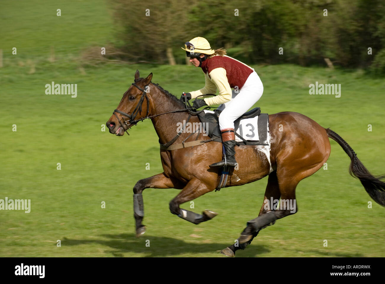 Galloping horse legs hi-res stock photography and images - Alamy