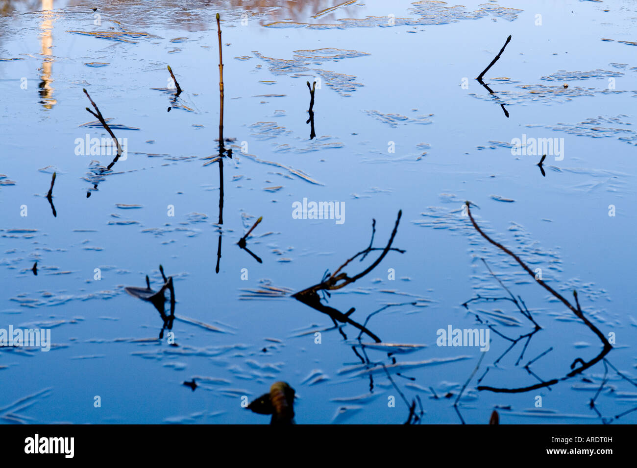 Thawing lake thaw hi-res stock photography and images - Alamy