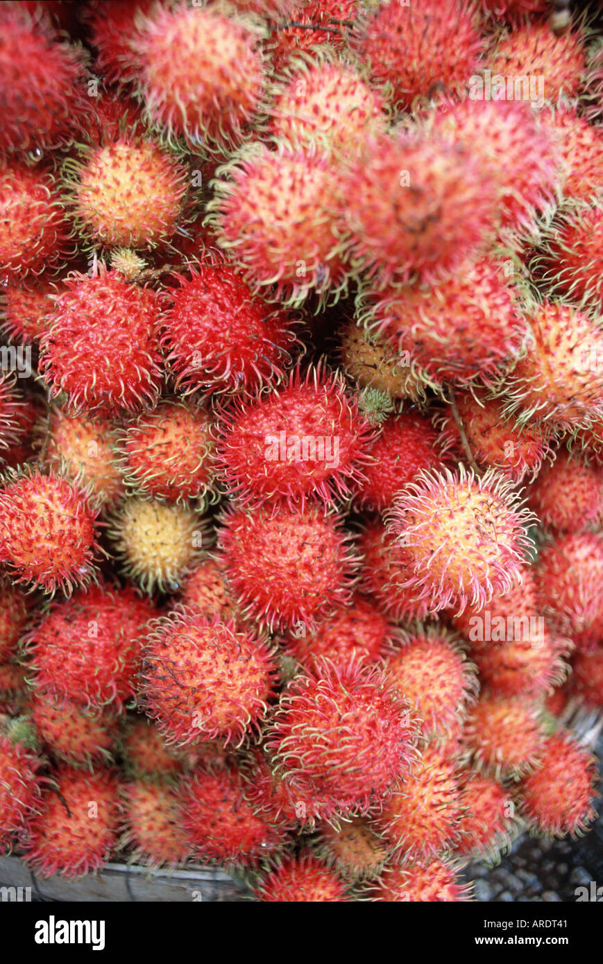 Rambutan fruit Sold in markets throughout Southeast Asia Stock Photo ...