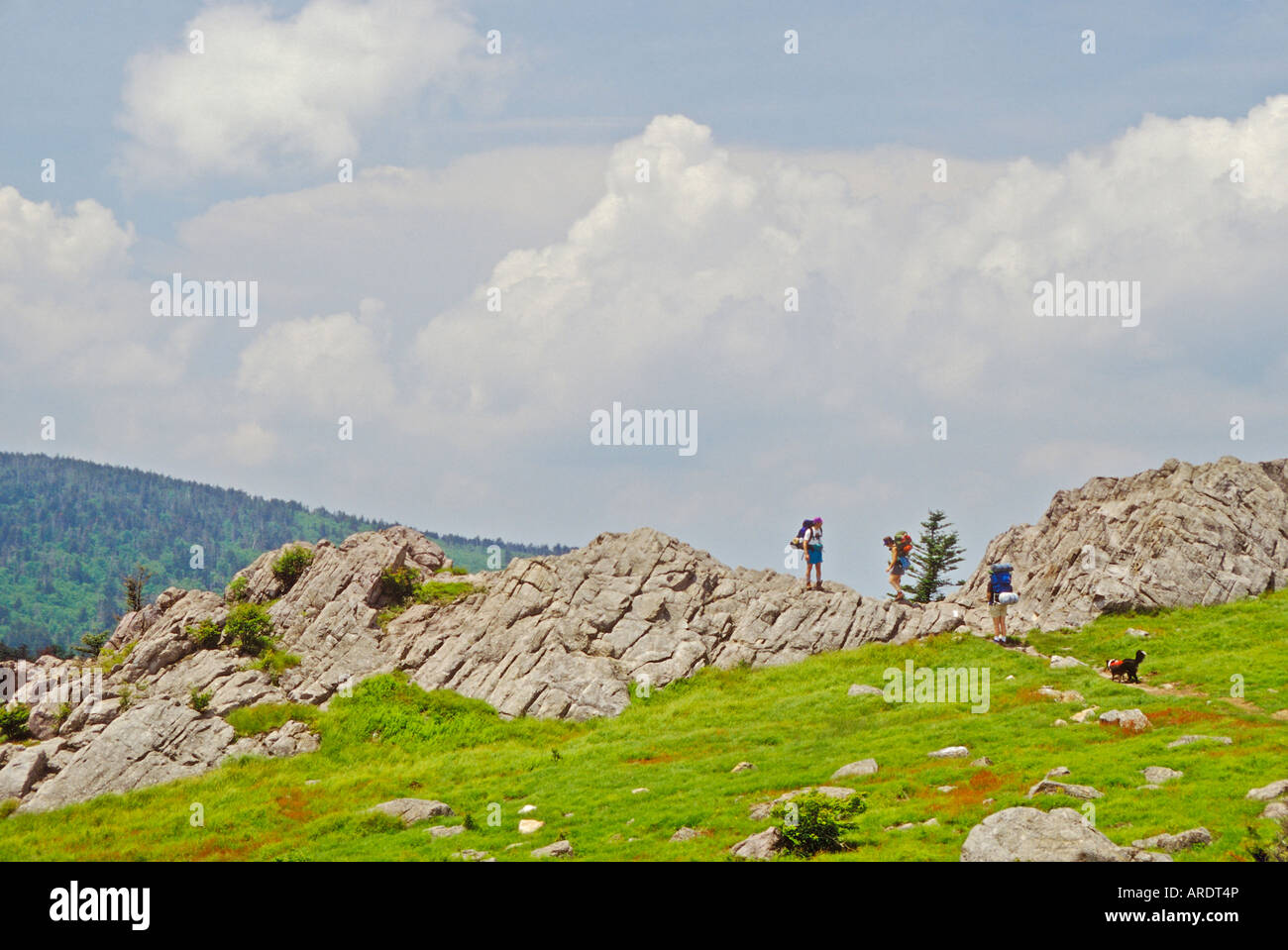 Hiking on Appalachian Trail, Mount Rogers National Recreation Area ...