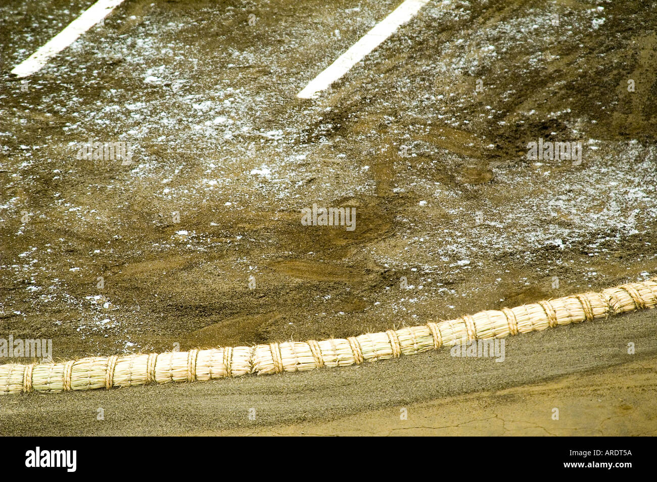 Sumo tournament in ryogoku hi-res stock photography and images - Alamy