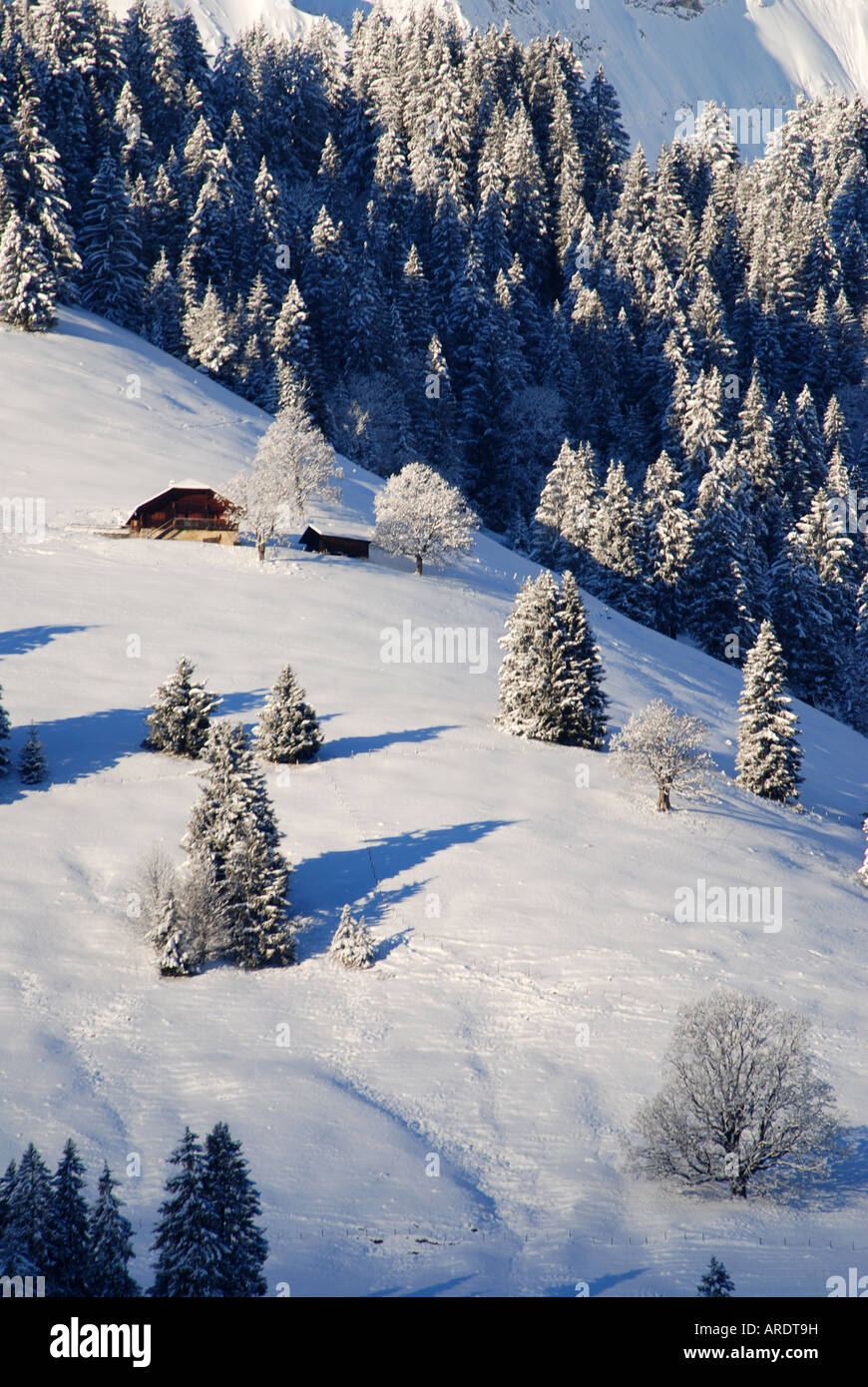 Winter landscape of alpine meadows and huts on Fromberghorn, Kander ...